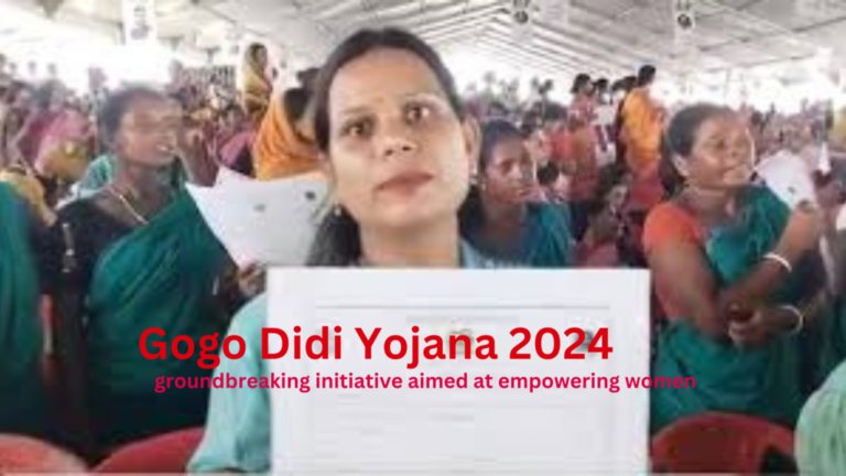 Gogo Didi Yojana 2024 » aapkisarkariyojna.in